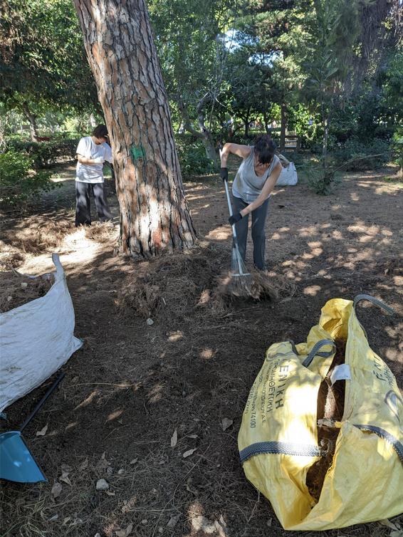 Εθελοντική δενδροφύτευση στον Δημοτικό Κήπο Ρεθύμνου | Δράσεις για τα ...